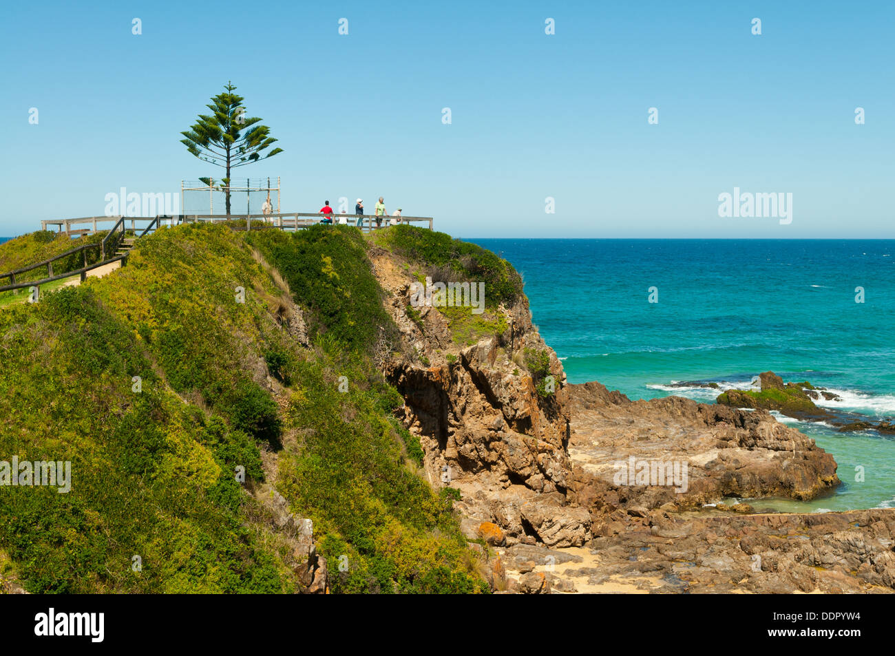 Ocean tree australia hi-res stock photography and images - Alamy