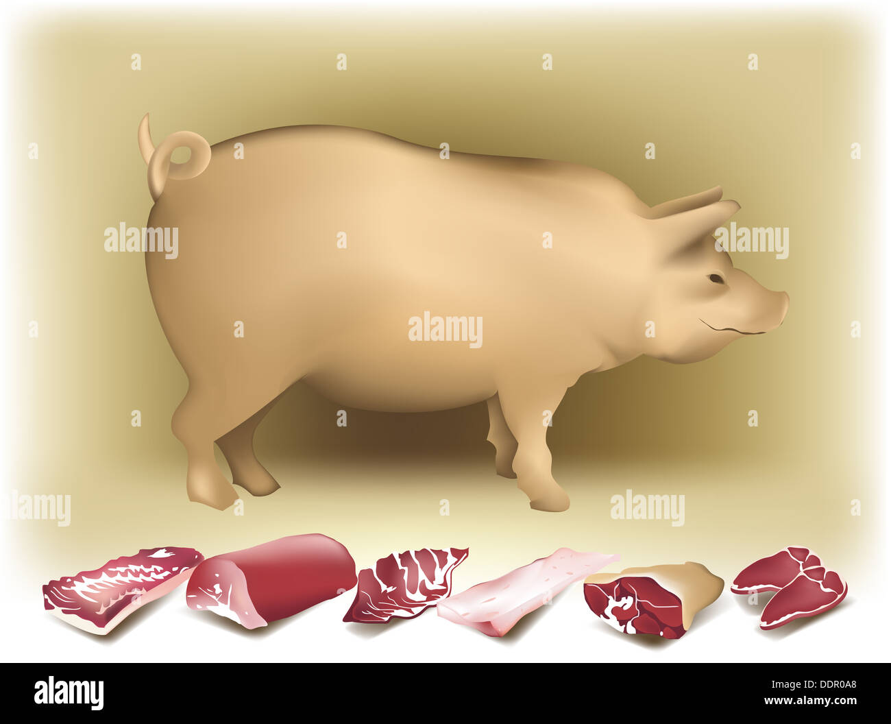 Pig & pork Stock Photo - Alamy