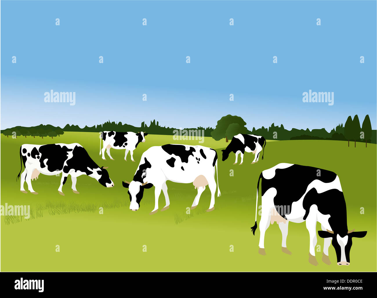 Caws milk hi-res stock photography and images - Alamy
