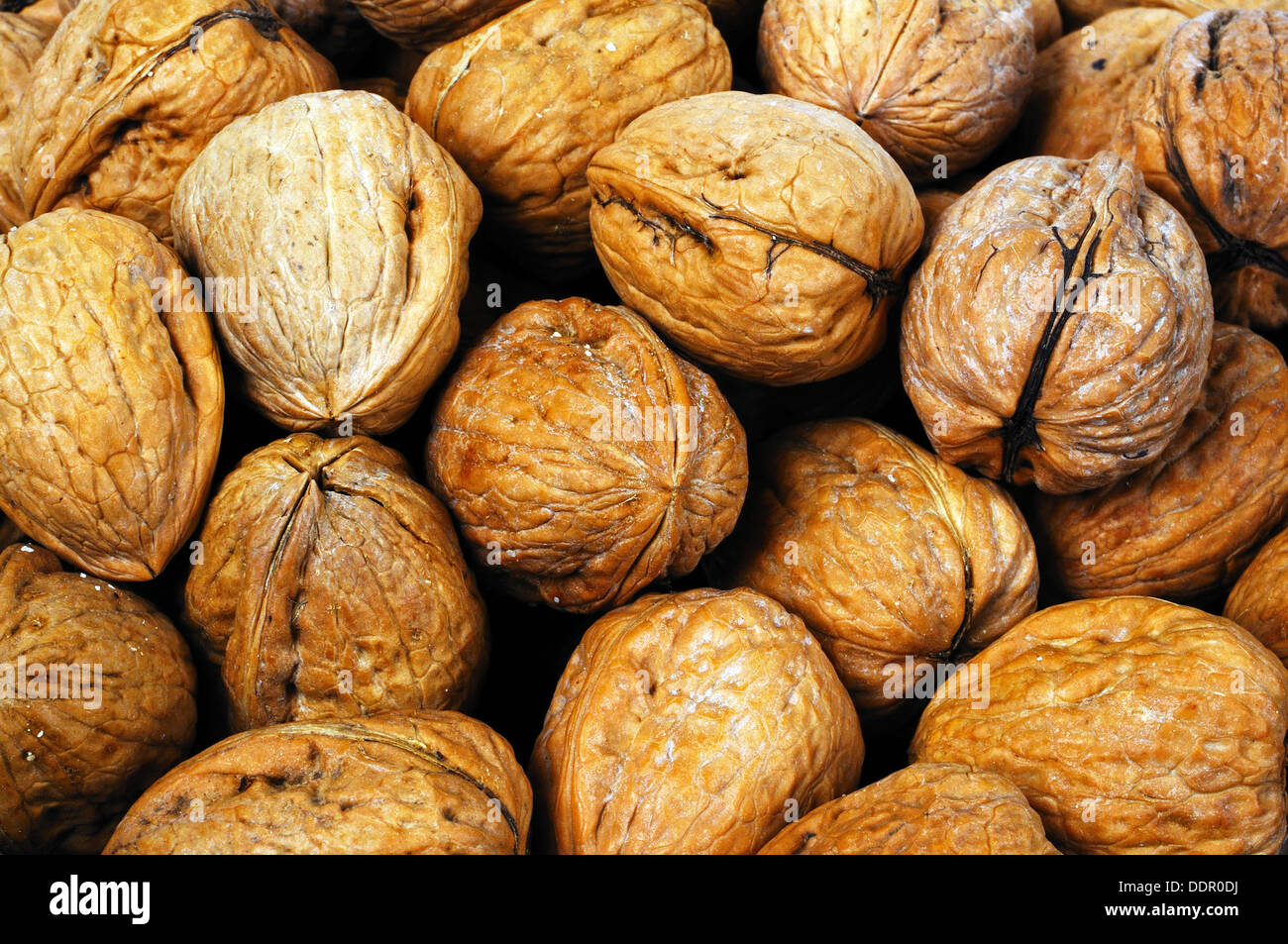 Juglans Walnuts In Their Shells High Resolution Stock Photography and ...