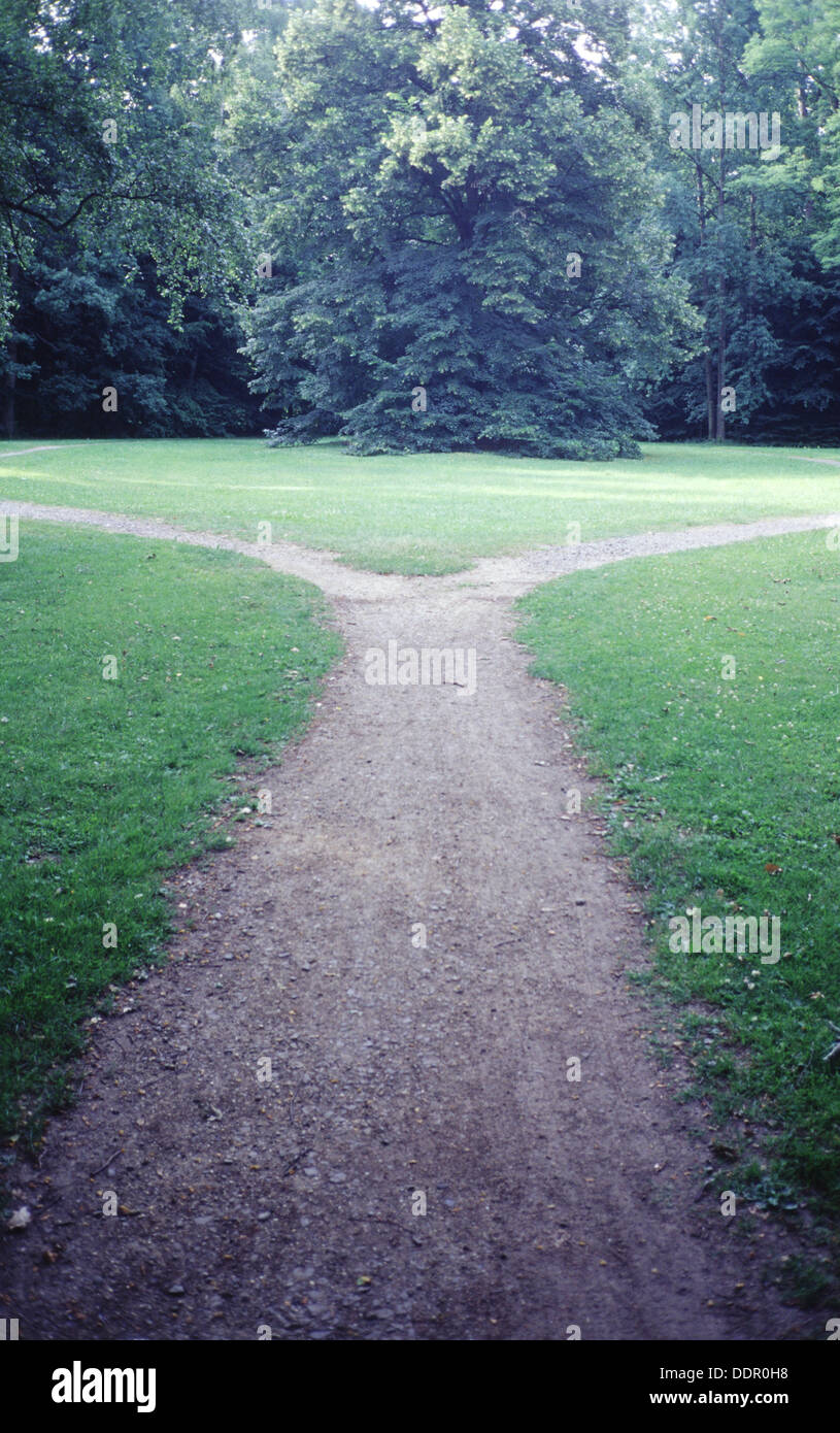 Path divergence hi-res stock photography and images - Alamy
