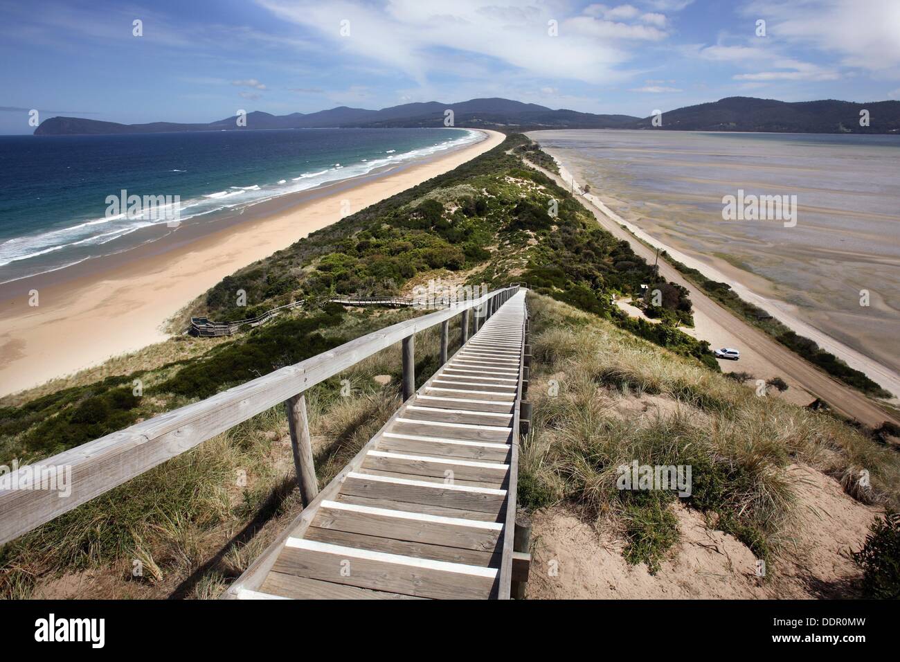 Narrow Neck High Resolution Stock Photography and Images - Alamy