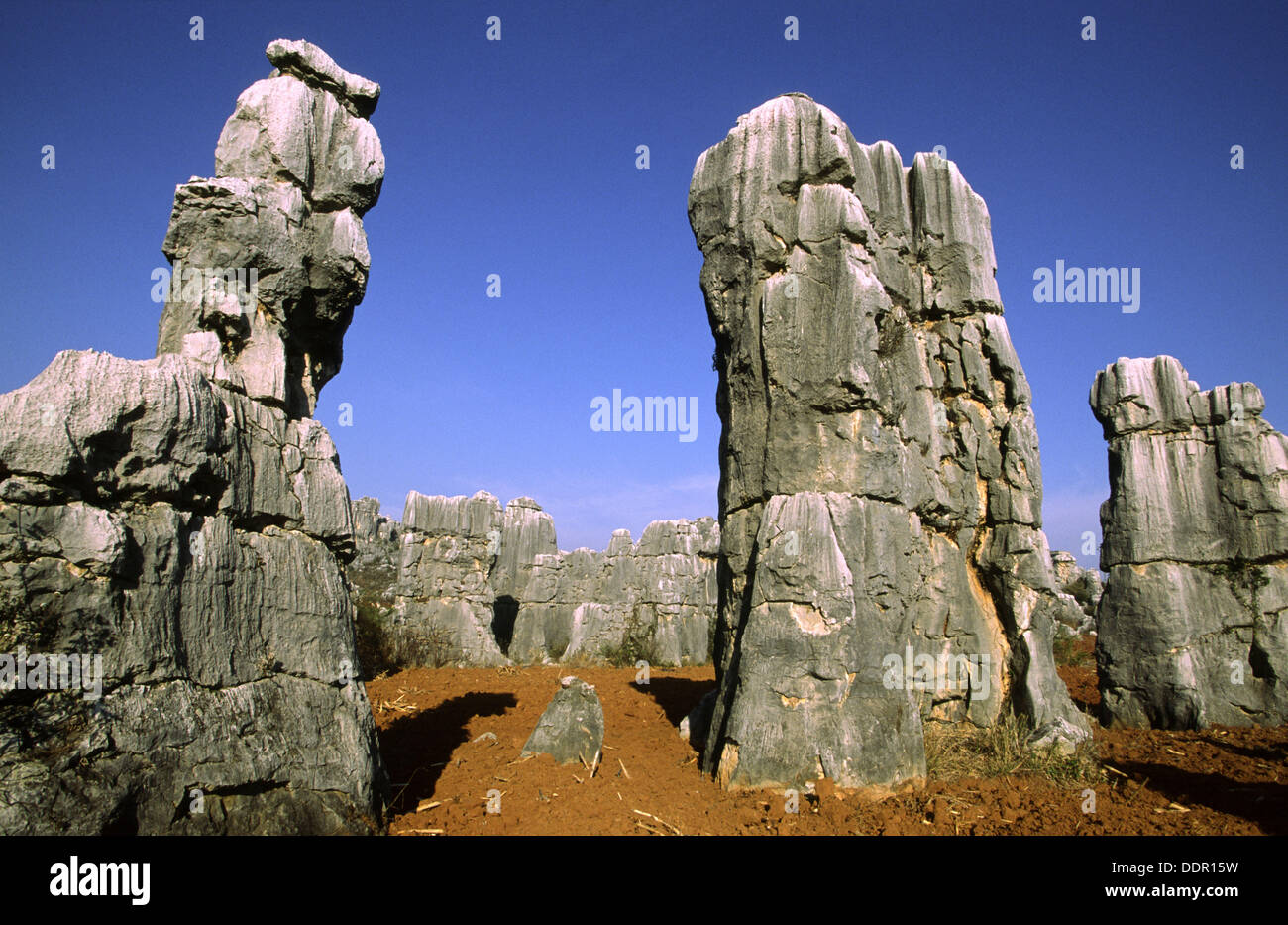 Shi lin stone forest hi-res stock photography and images - Alamy