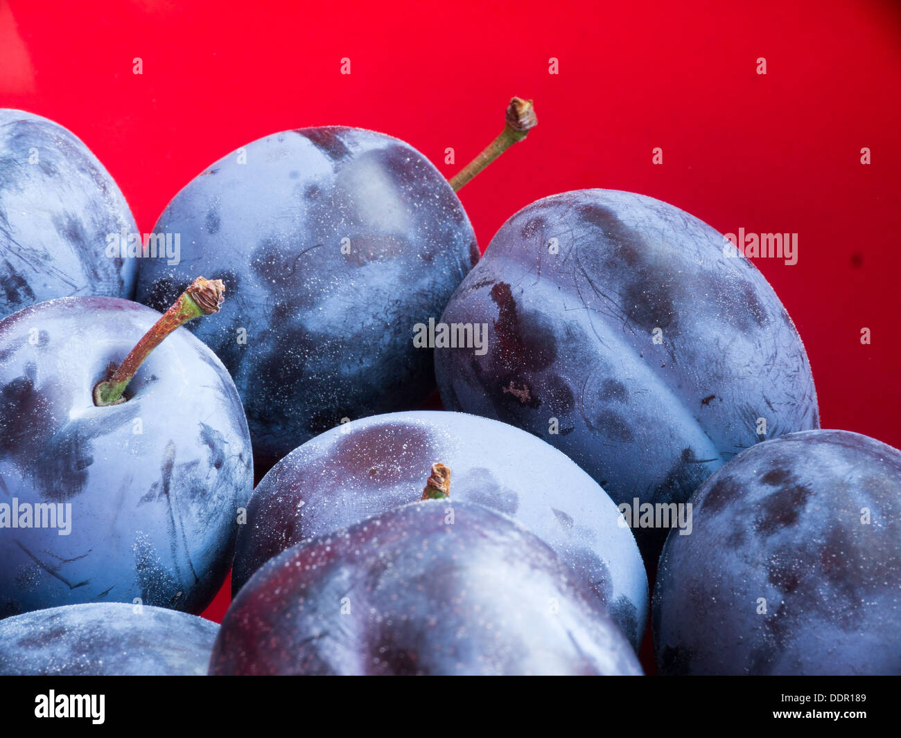 Fresh purple plums in a red bowl Stock Photo - Alamy