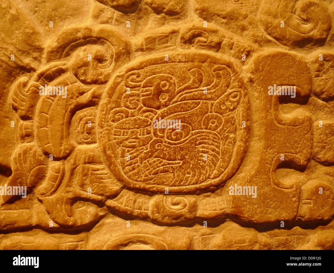 Jeroglifos Mayas: Una Guía Completa Para Comprender Los – HOMW