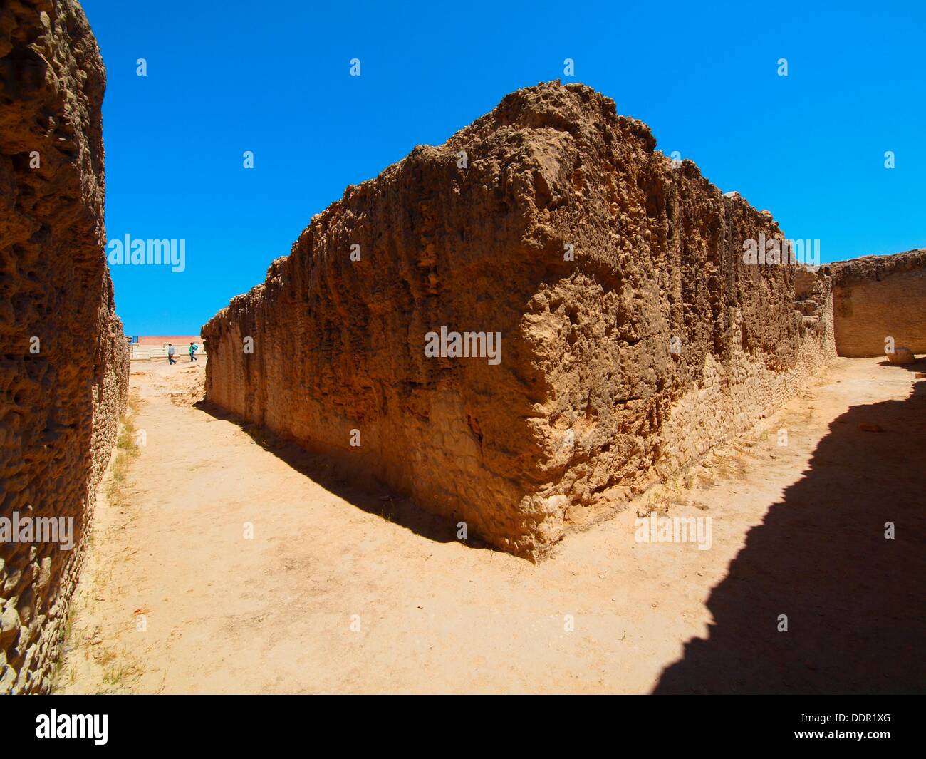 Serapeum egypt hi-res stock photography and images - Alamy