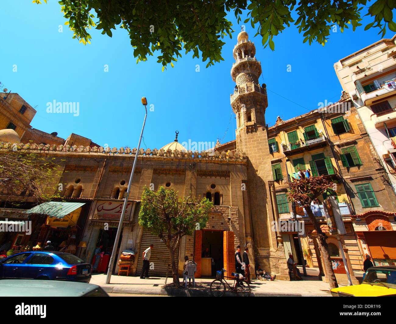 Attarine alexandria hi-res stock photography and images - Alamy