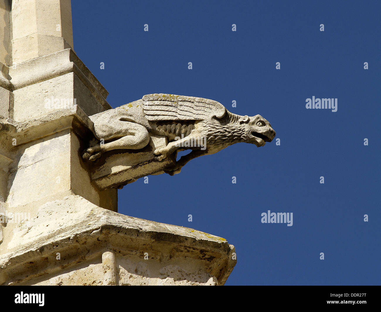 Winged Gargoyle High Resolution Stock Photography and Images - Alamy