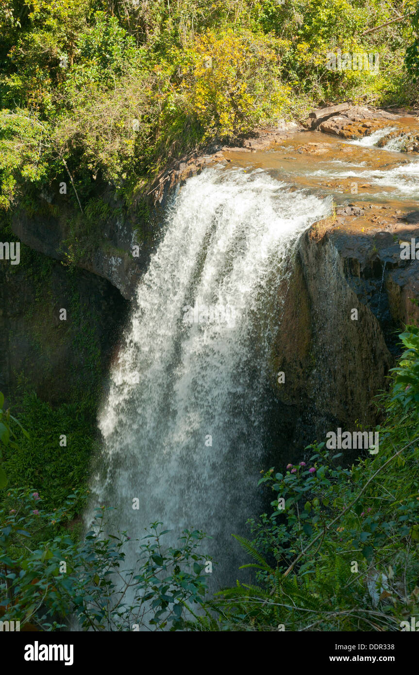 Queensland tablelands hi-res stock photography and images - Alamy