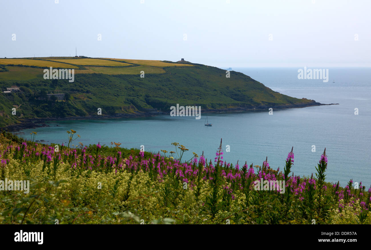 Rame head cornwall hi-res stock photography and images - Alamy