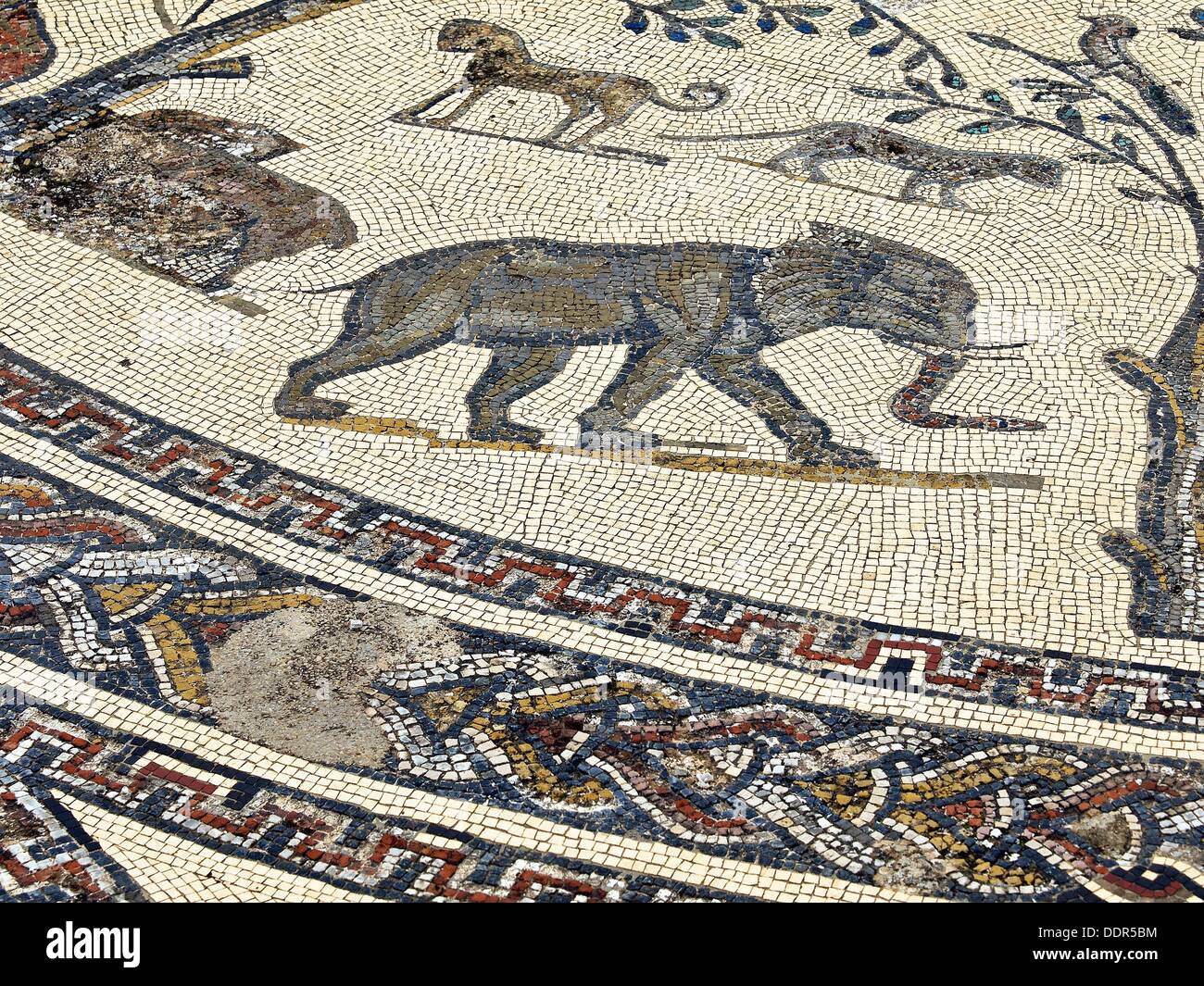 Roman elephant mosaic hi-res stock photography and images - Alamy