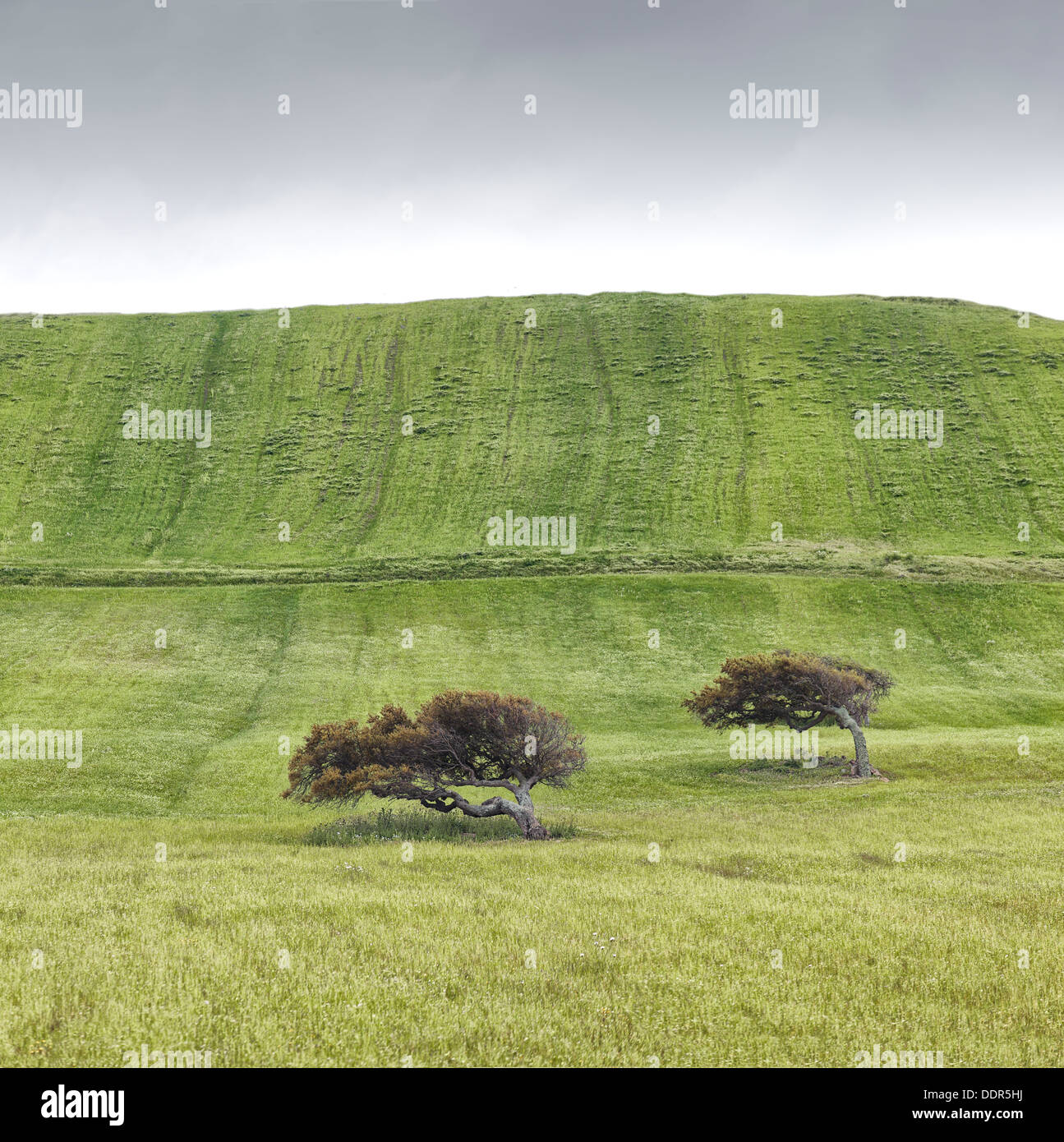 Sardian must see hi-res stock photography and images - Alamy