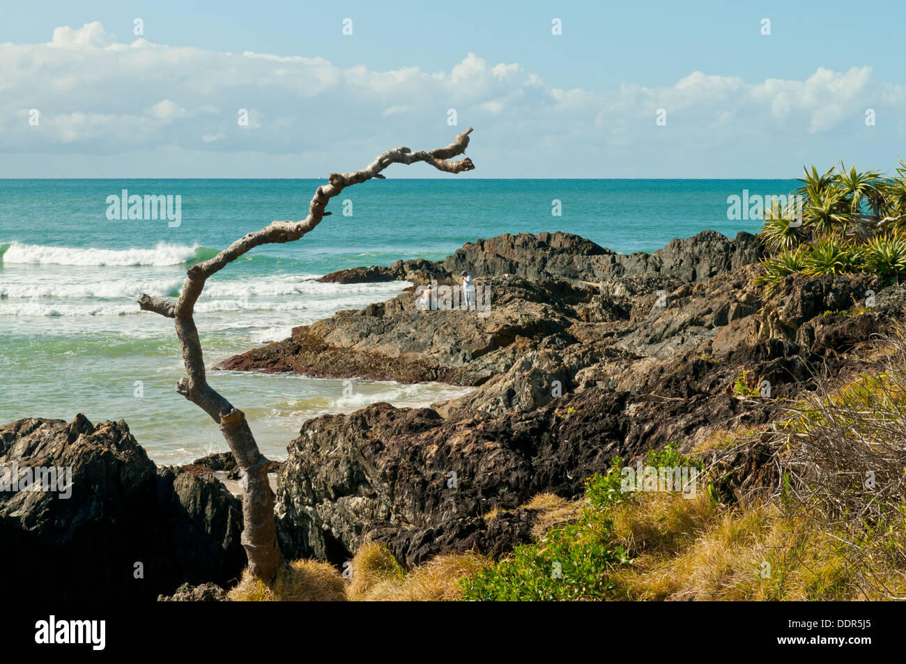 The Point from Sawtell Lookout, NSW, Australia Stock Photo - Alamy