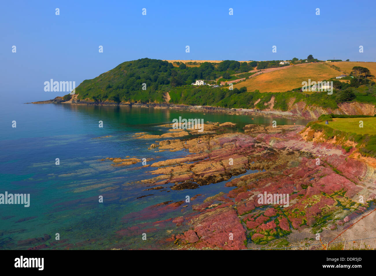 Colourful deep red rocks Talland Bay between Looe and Polperro Cornwall ...