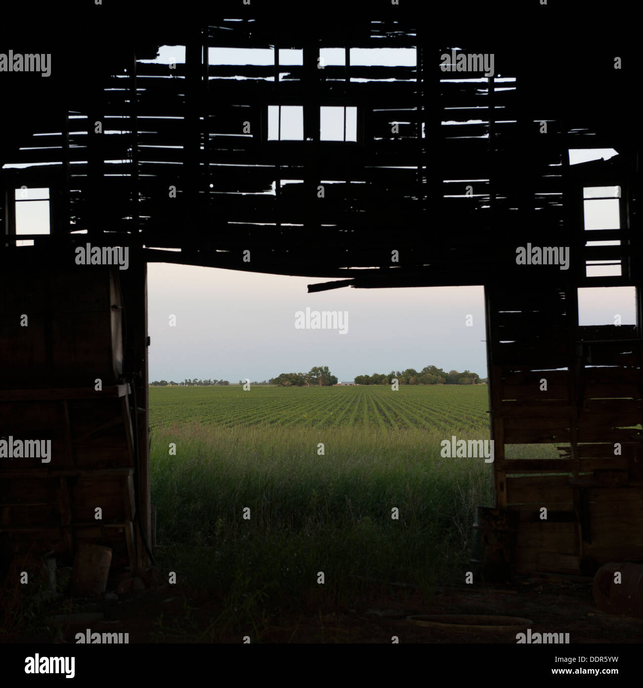 Abandoned barn in a field hi-res stock photography and images - Alamy