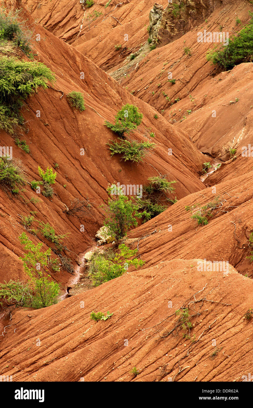 Mixteca oaxaca hi-res stock photography and images - Alamy