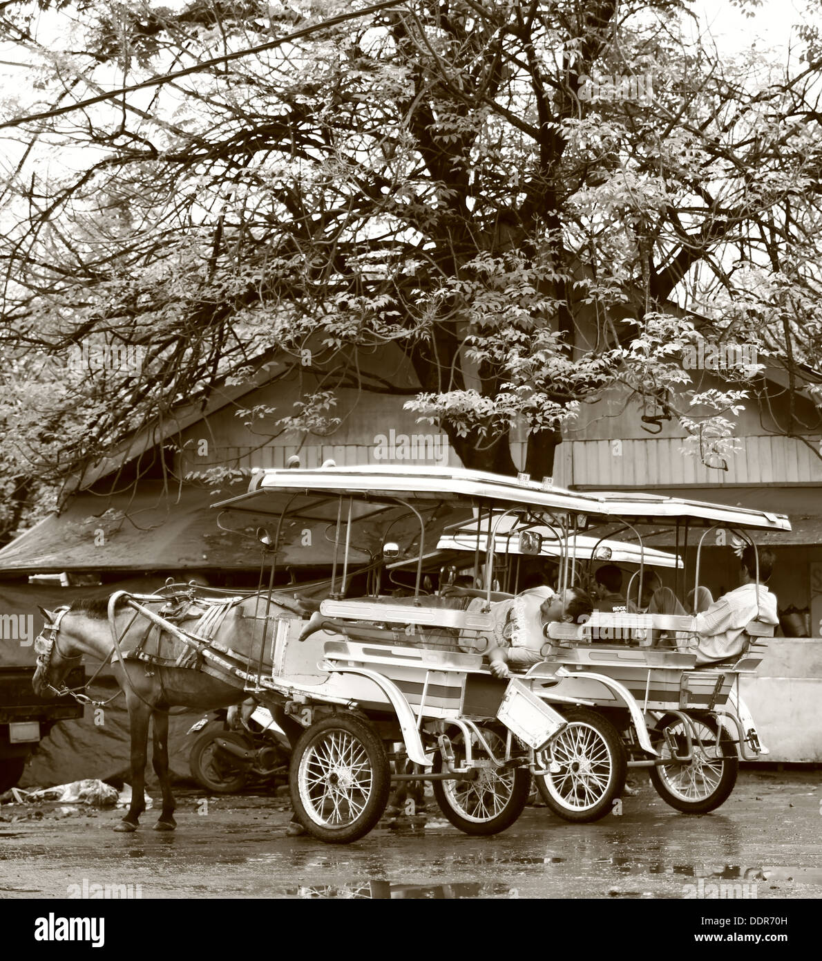 Traditional vehicle of indonesia hi-res stock photography and images ...