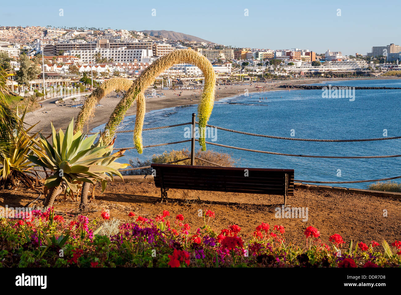 Costa Adeje. Tenerife. Canary Islands Stock Photo - Alamy