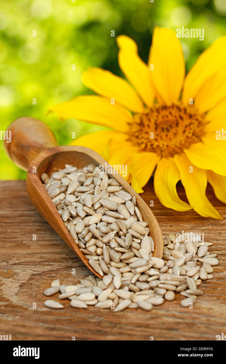 Picking up seeds hi-res stock photography and images - Alamy