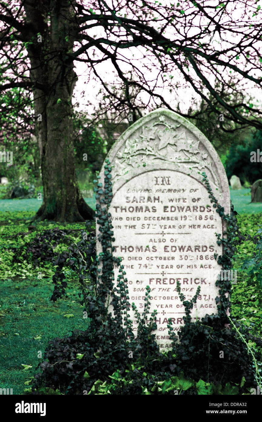 Tree, vine-covered tomb in old cemetery. Cambridge. England Stock Photo ...