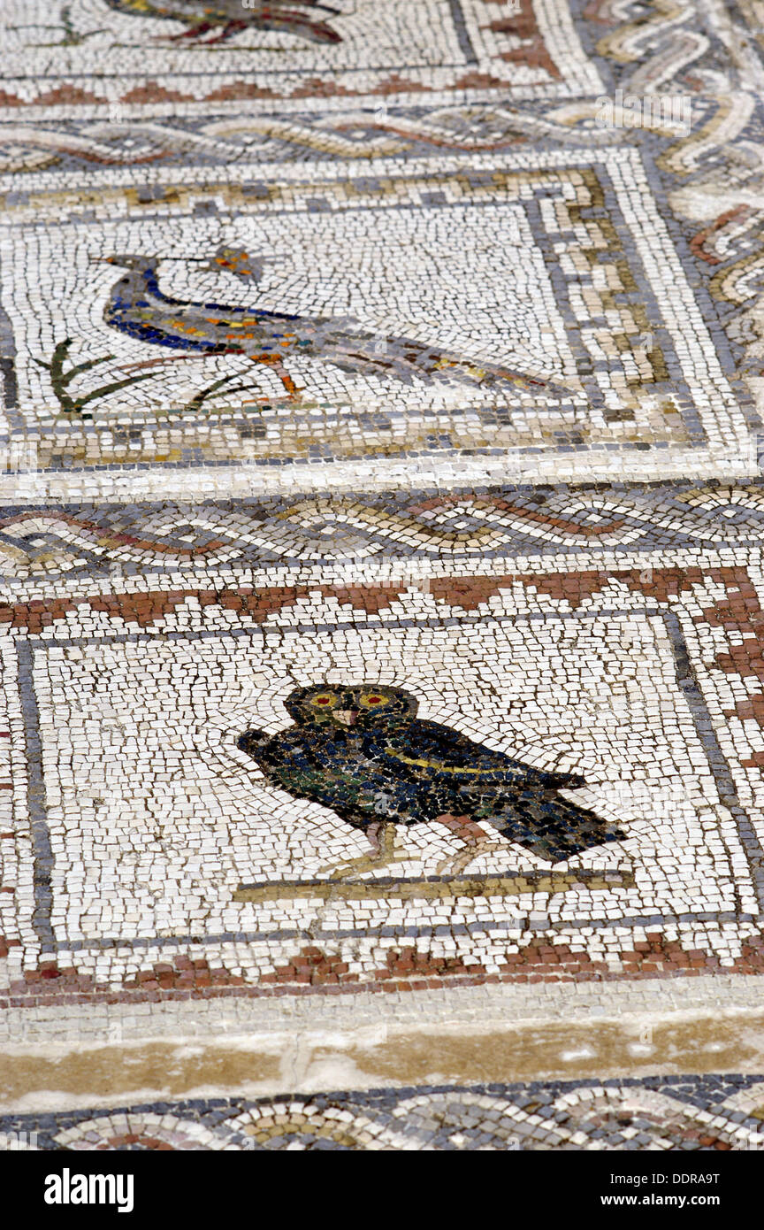 Detail of Roman mosaic. House of Birds. Italica. Andalucia. Spain Stock ...
