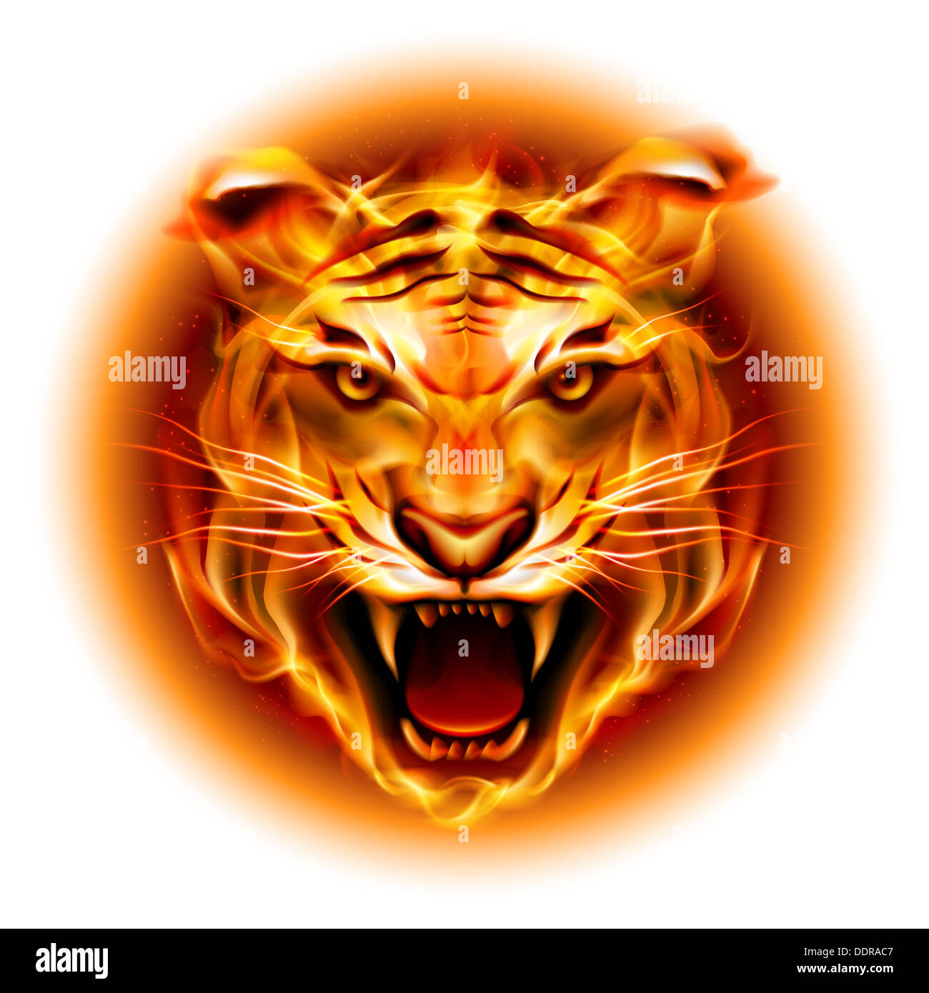 Fire tiger head hi-res stock photography and images - Alamy