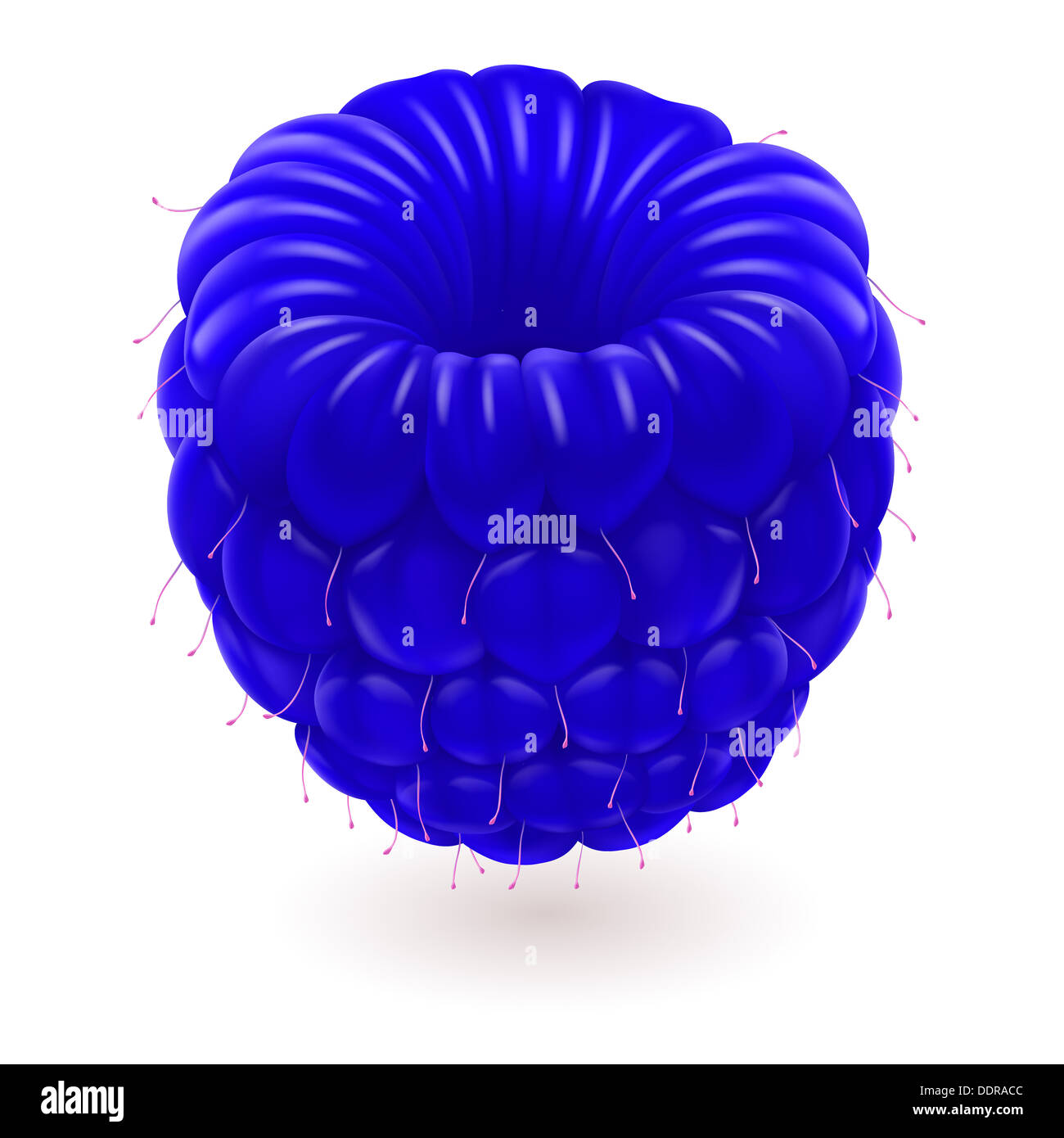 Shiny blue raspberry isolated on white background Stock Photo - Alamy