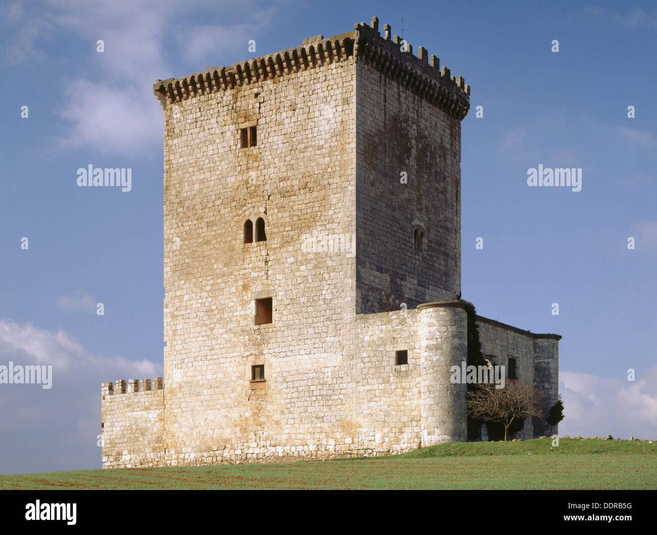 Mazuelo de muno hi-res stock photography and images - Alamy