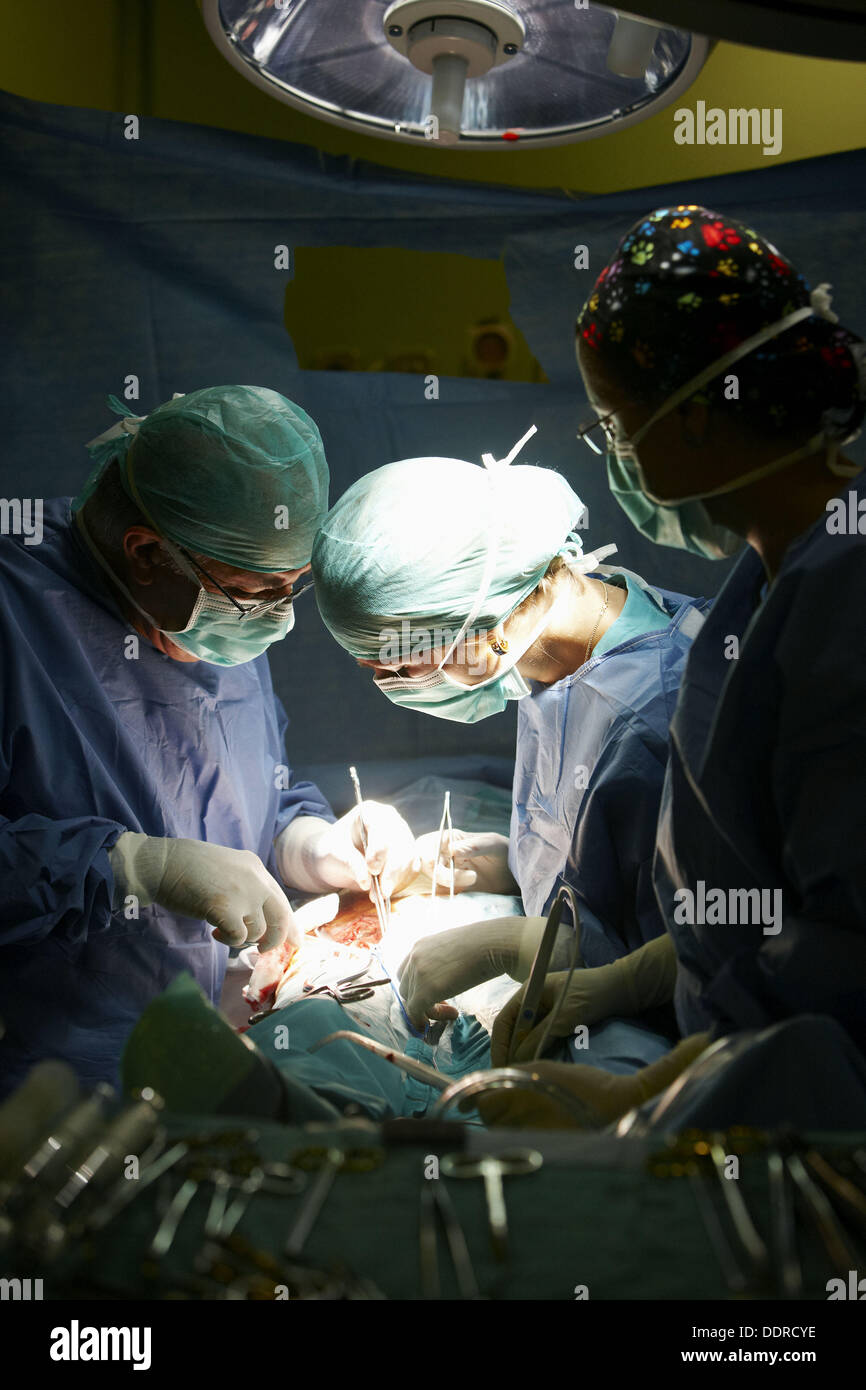 Bypass Operation High Resolution Stock Photography and Images - Alamy
