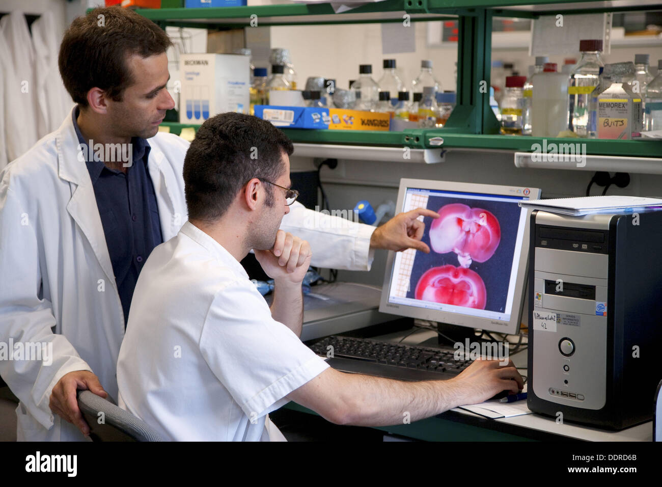 Department of Brain Ischemia and Neurodegeneration, IIBB - Institute ...