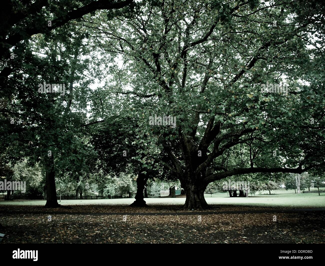 Acton Park, Acton district, West London, London, England, United ...