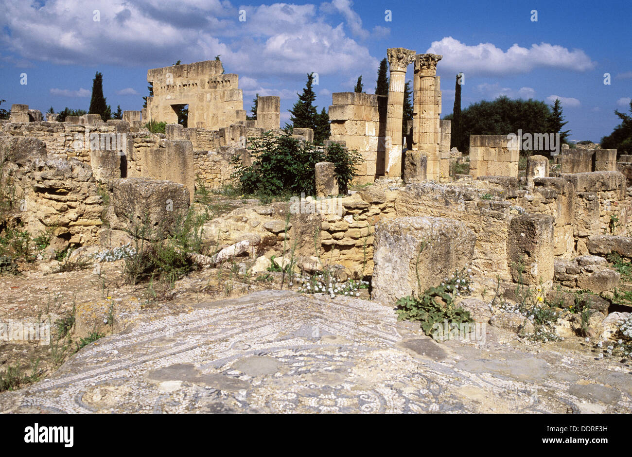 Utique tunisia hi-res stock photography and images - Alamy