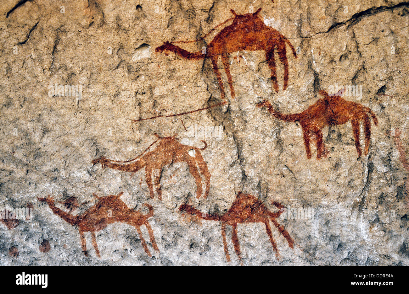 Cave paintings hi-res stock photography and images - Alamy
