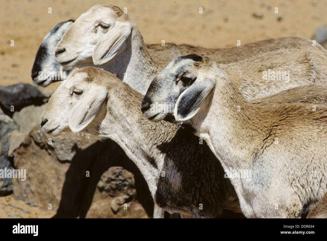 Important locations hi-res stock photography and images - Alamy