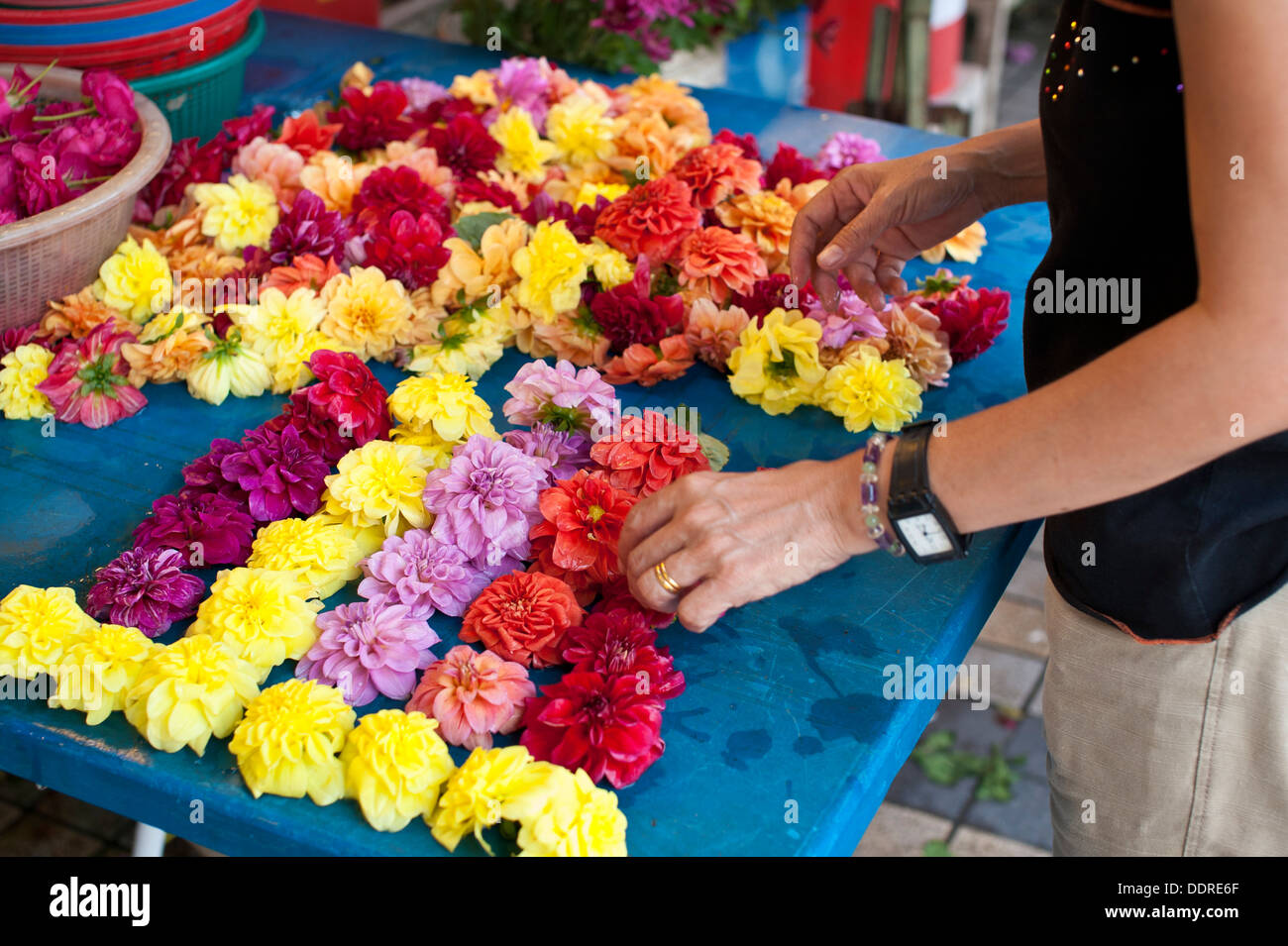 Woman selecting flowers for a bouquet Stock Photo - Alamy