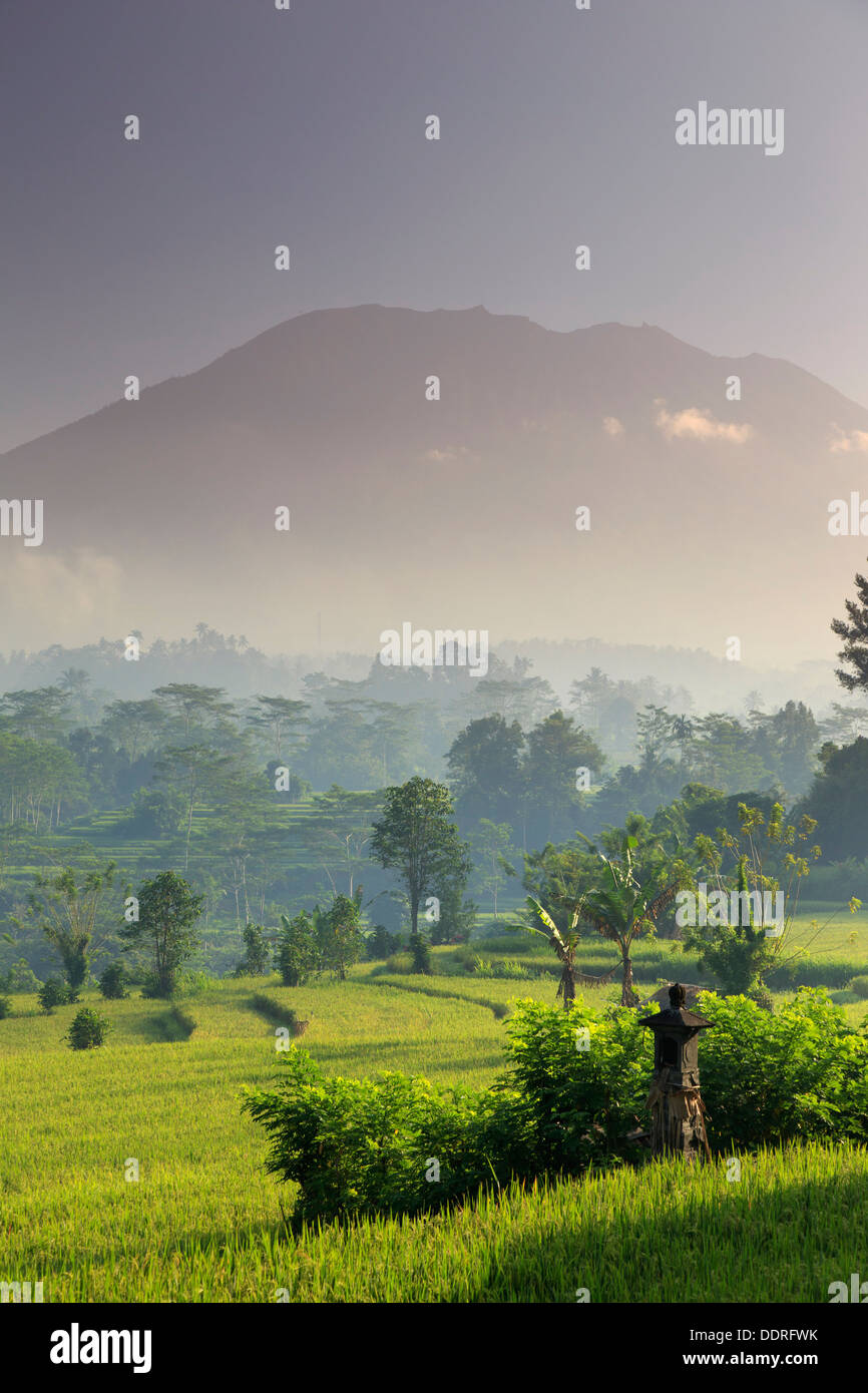 Indonesia, Bali, Sidemen, Iseh, Rice Fields and Gunung Agung Volcano ...