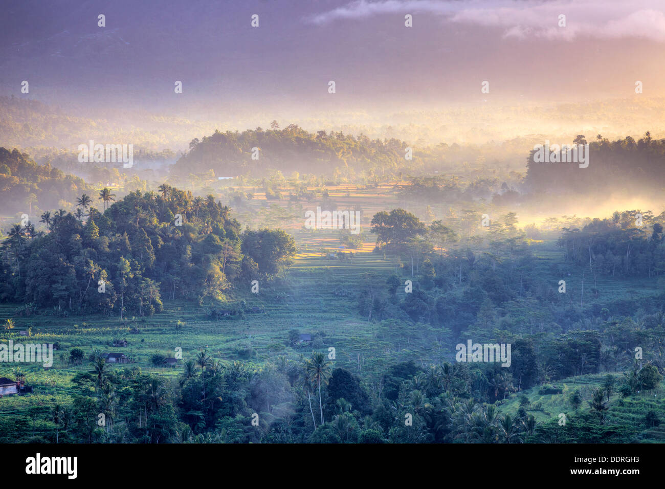 Indonesia, Bali, Forest Landscape and Gunung Agung Volcano Stock Photo ...