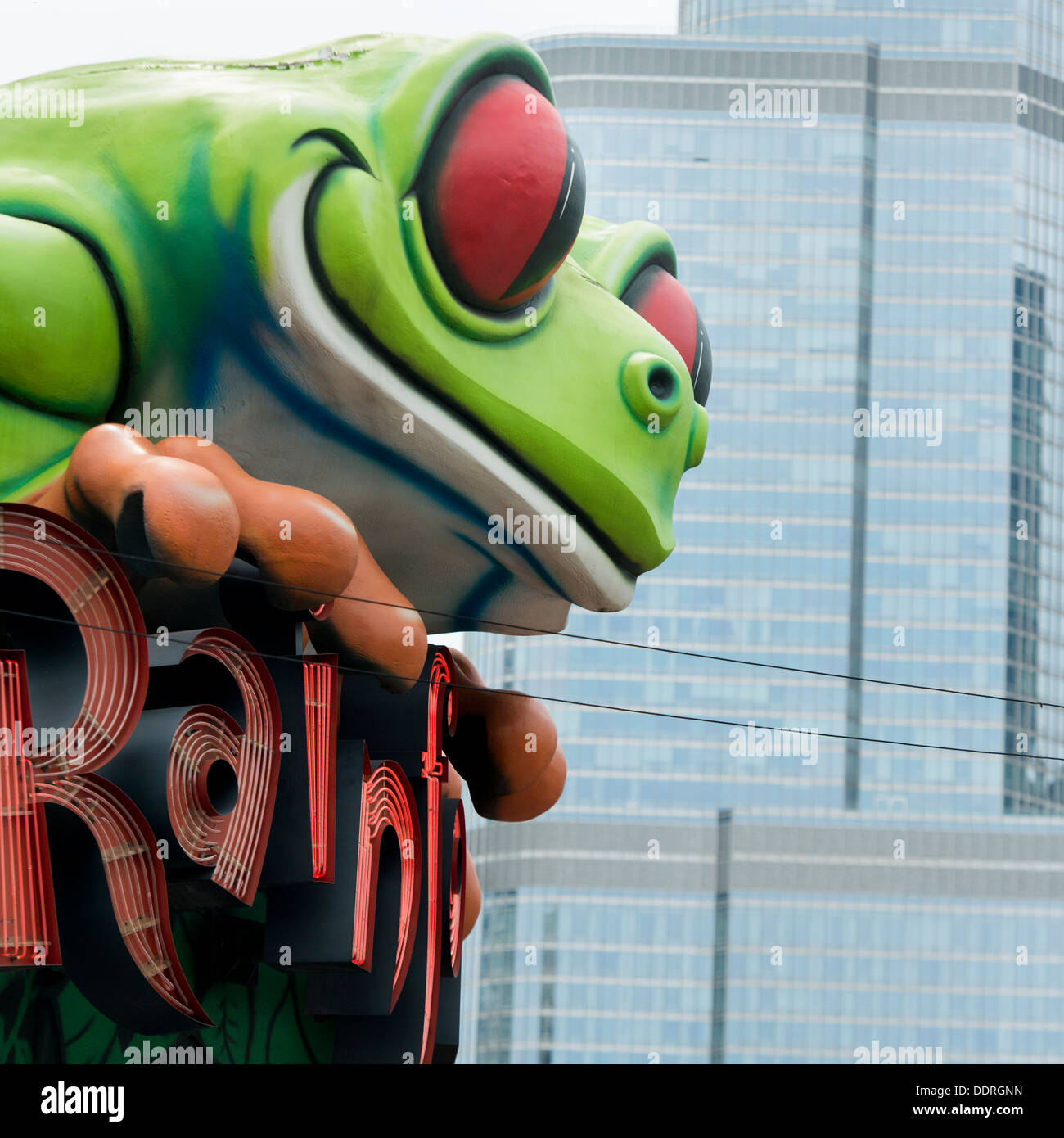 Illinois frog hi-res stock photography and images - Alamy