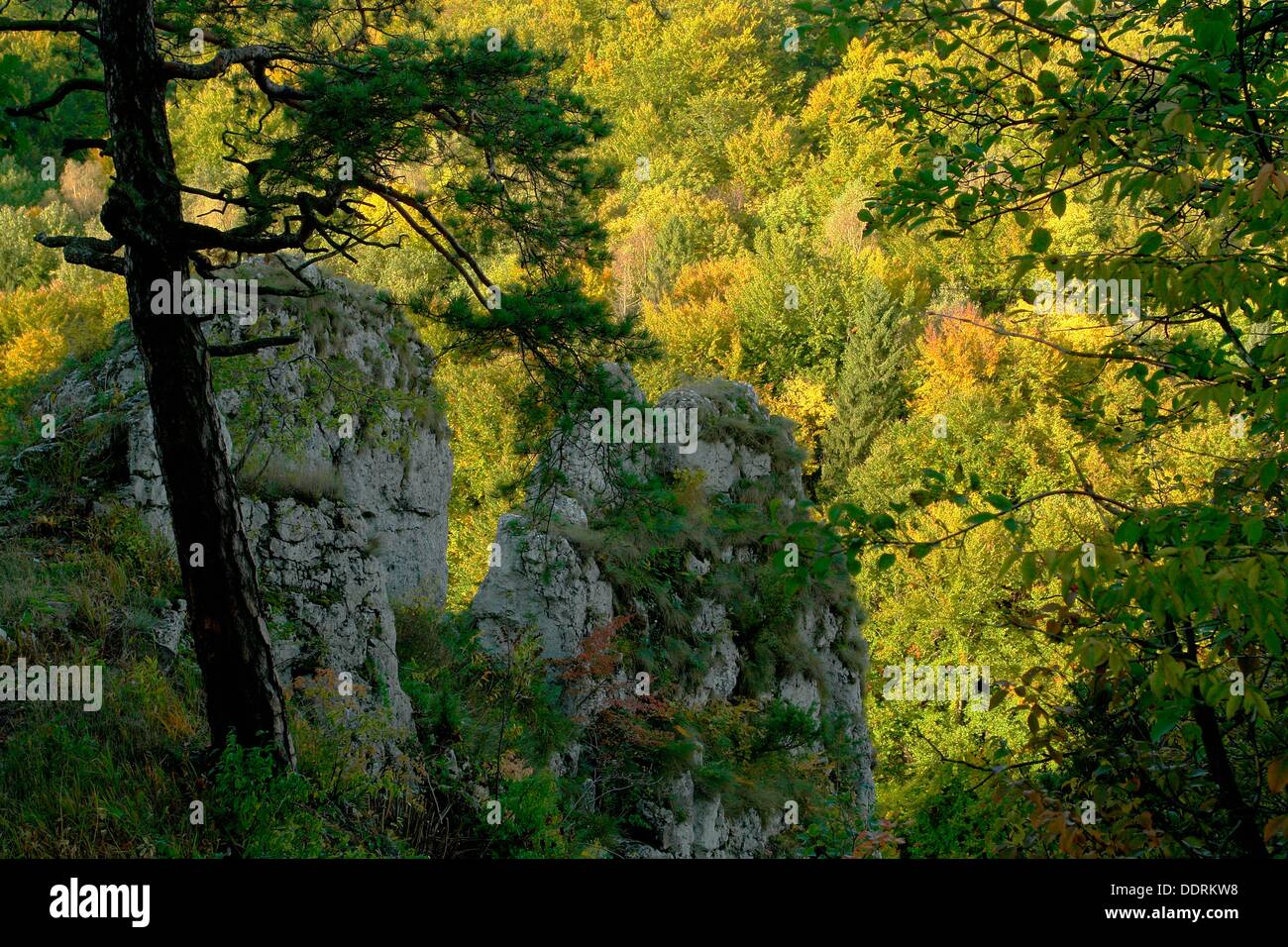 Pradnik river hi-res stock photography and images - Alamy