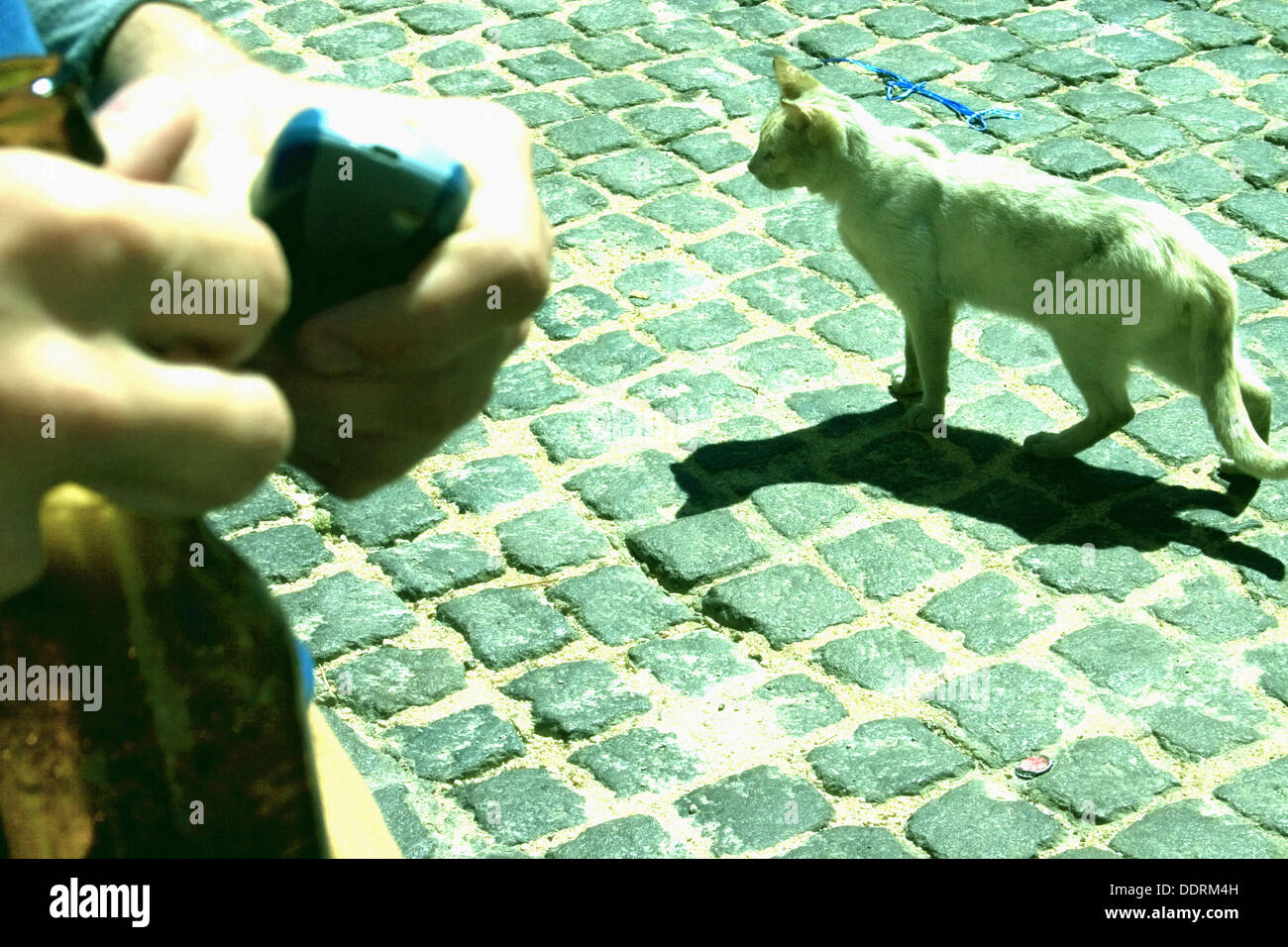 Indifference people street hi-res stock photography and images - Alamy