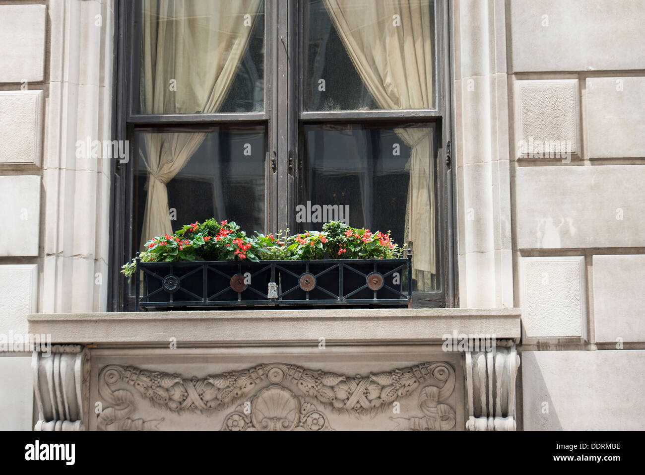 Window box on a window, Chicago, Cook County, Illinois, USA Stock Photo ...