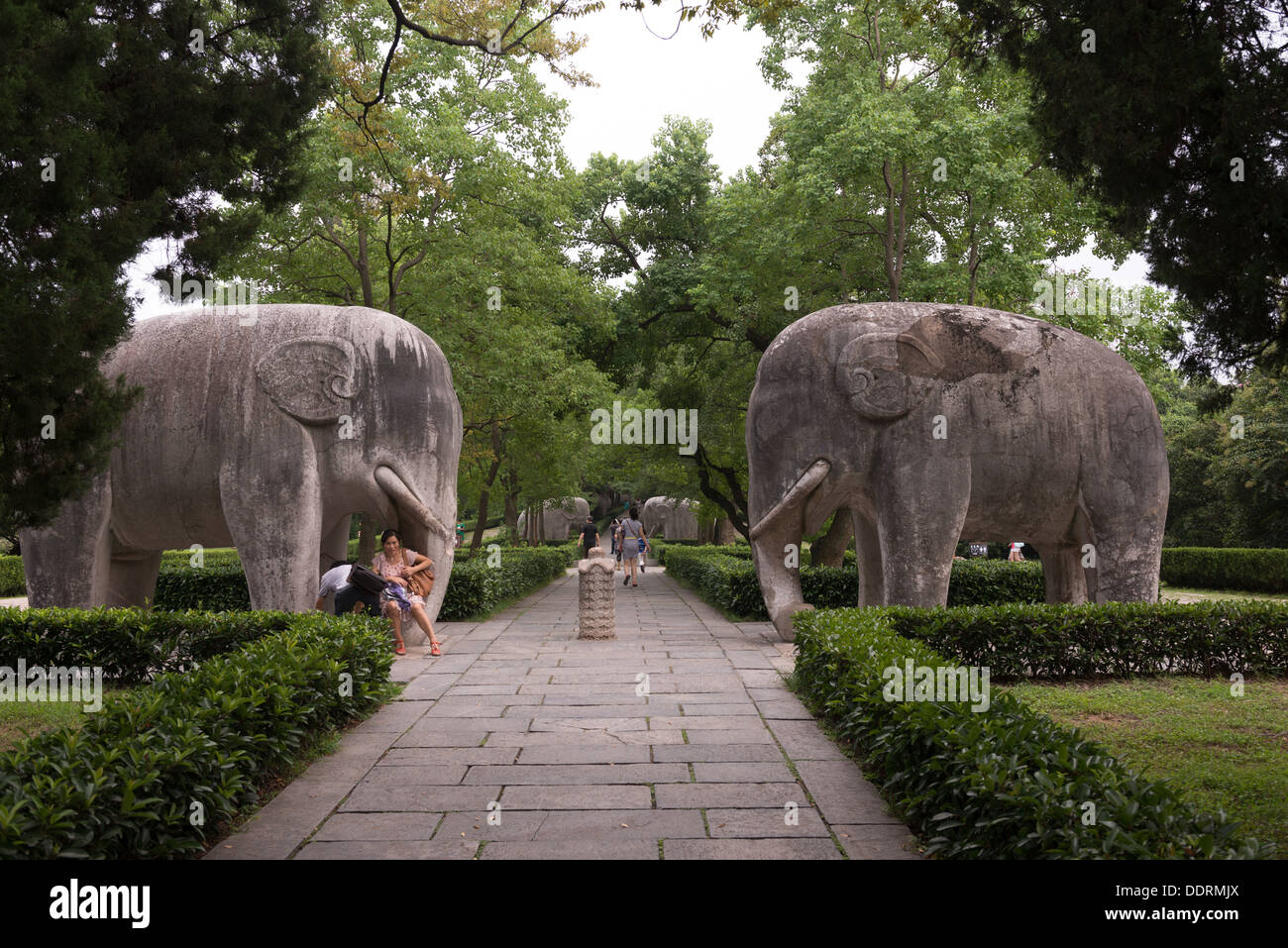Ming Tombs, Nanjing, China. Statues of elephants on the Elephant Road ...