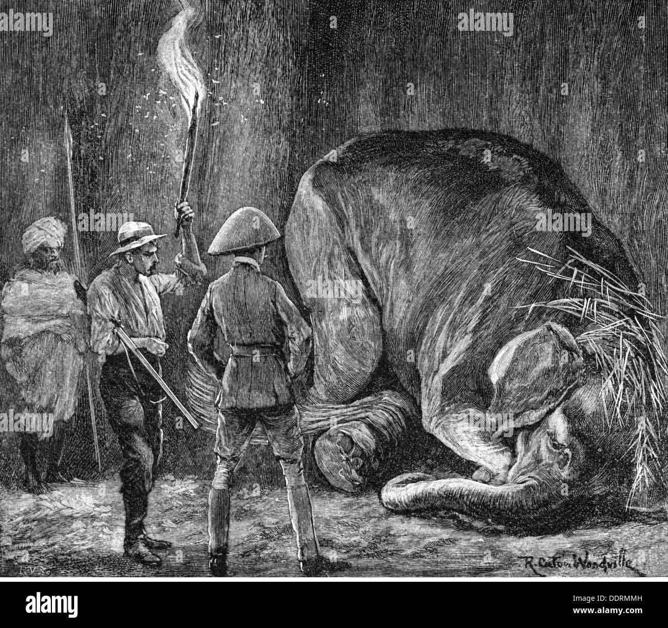 hunt, elephants, elephant hunt in India, captured elephant, wood ...