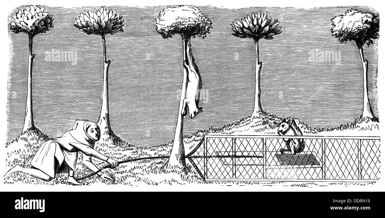 Medieval hunt squirrel hi-res stock photography and images - Alamy