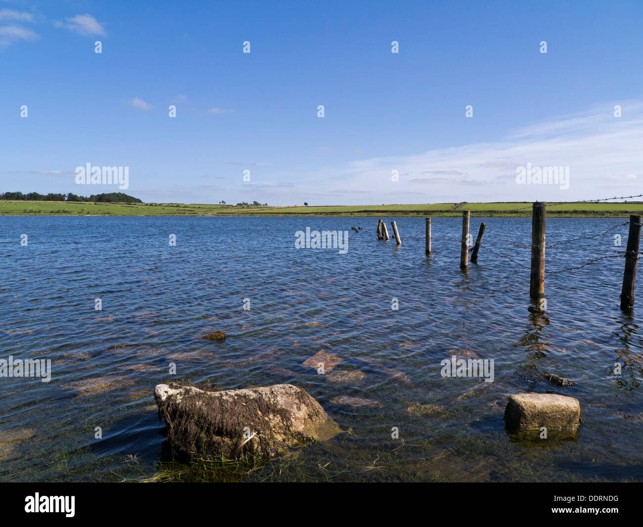 Dozmary Pool, Bodmin Moor Cornwall UK Stock Photo - Alamy