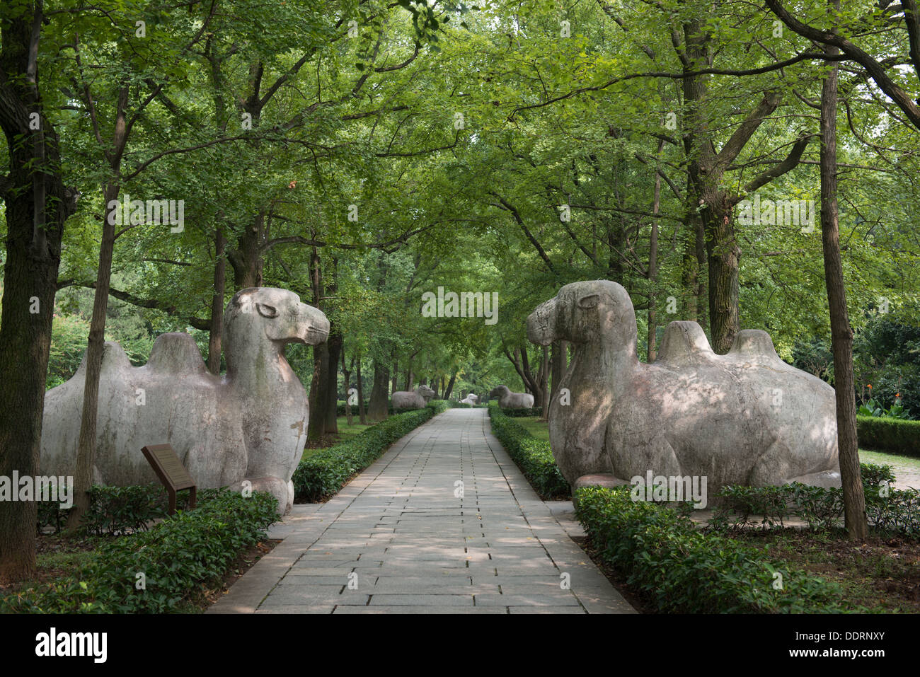 Mythical anima hi-res stock photography and images - Alamy