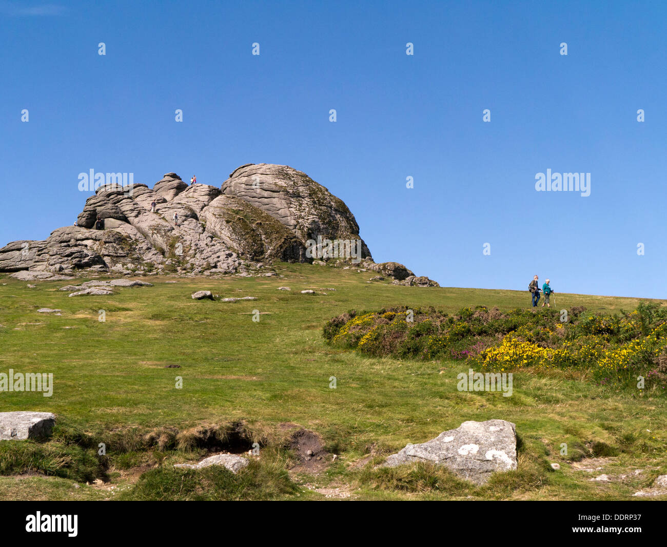 Haytor Rocks Dartmoor Devon UK Stock Photo - Alamy