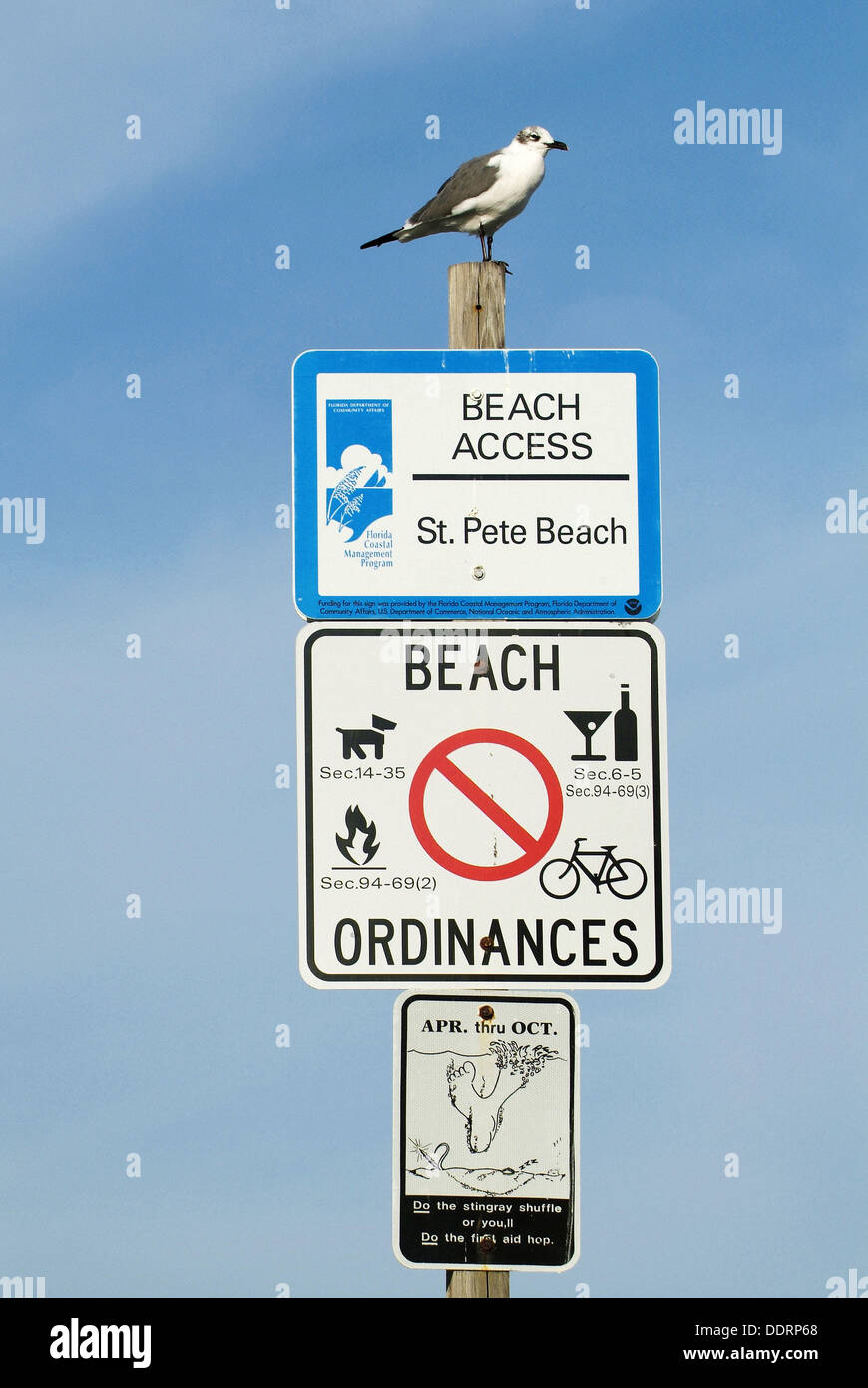 Pete bird hi-res stock photography and images - Alamy