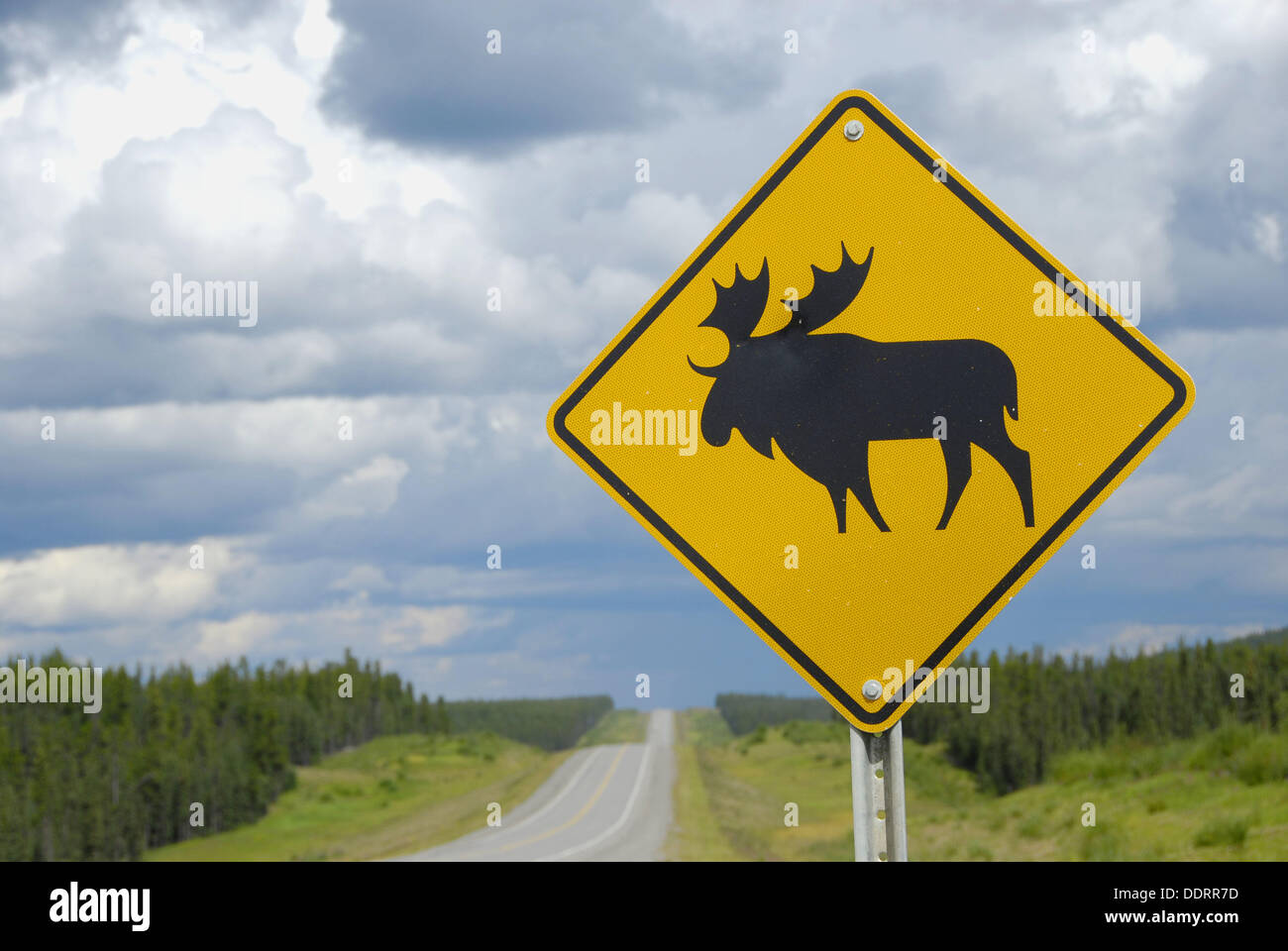 Moose warning road sign hi-res stock photography and images - Alamy