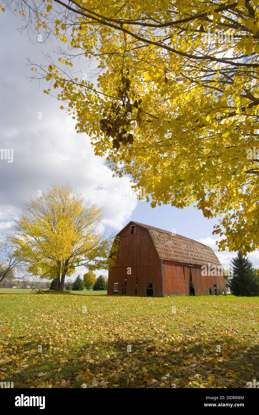 Illinois near springfield farm hi-res stock photography and images - Alamy